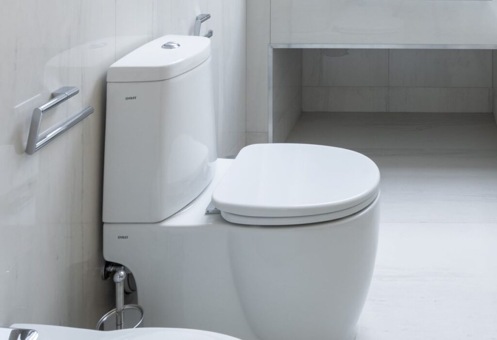 How Much Does It Cost To Have A Toilet Professionally Installed in ...