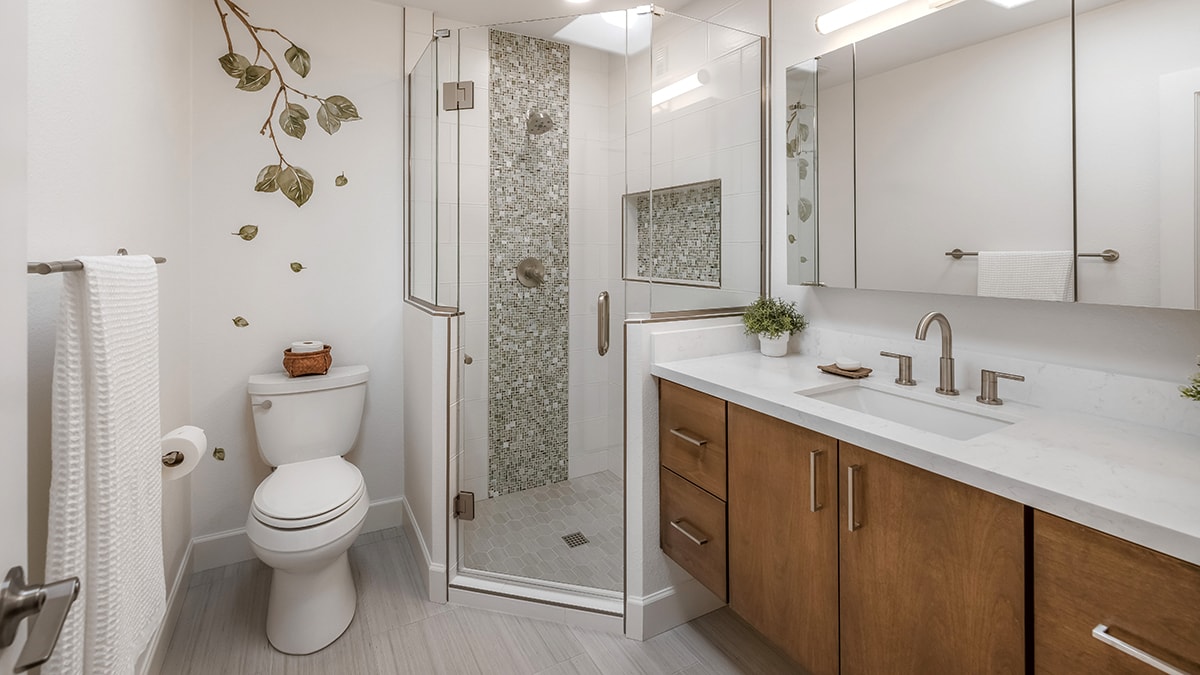 Sharon & John's Master & Guest Bathroom Remodeling In Shalimar